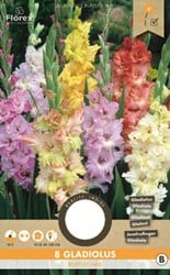 Gladiolen bollen kopen? - Bestel Gladiolen bollen online