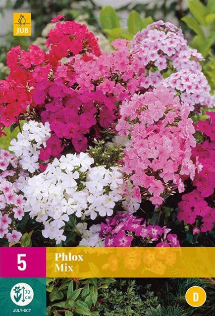 Phlox Mix - Vlammenbloem kopen? Snelle levering en scherpe prijzen bij ...