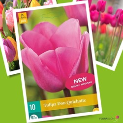 Tulpenbollen kopen? - Tulpen bollen bestellen online!